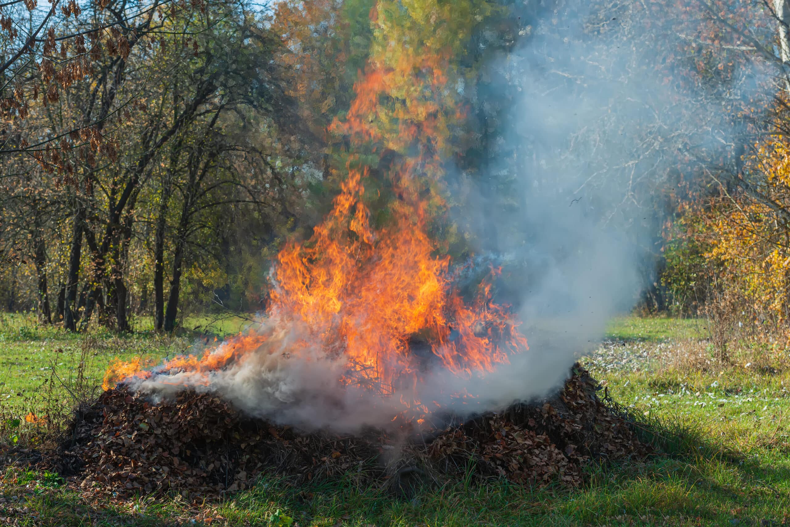 Controlled Burn Guidelines - Penn Forest Township Volunteer Fire Company #1